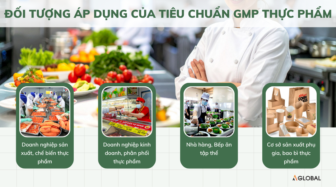 Overview of GMP standards for businesses